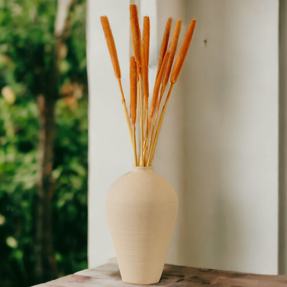 Dried Millet - Set of 20 Stems – Décor Helm