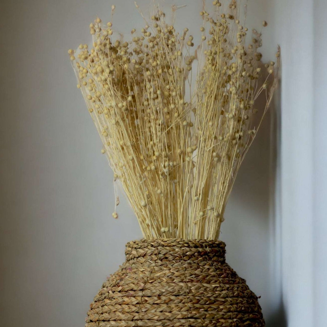 Tishi Grass - 100 gm bunch – Décor Helm